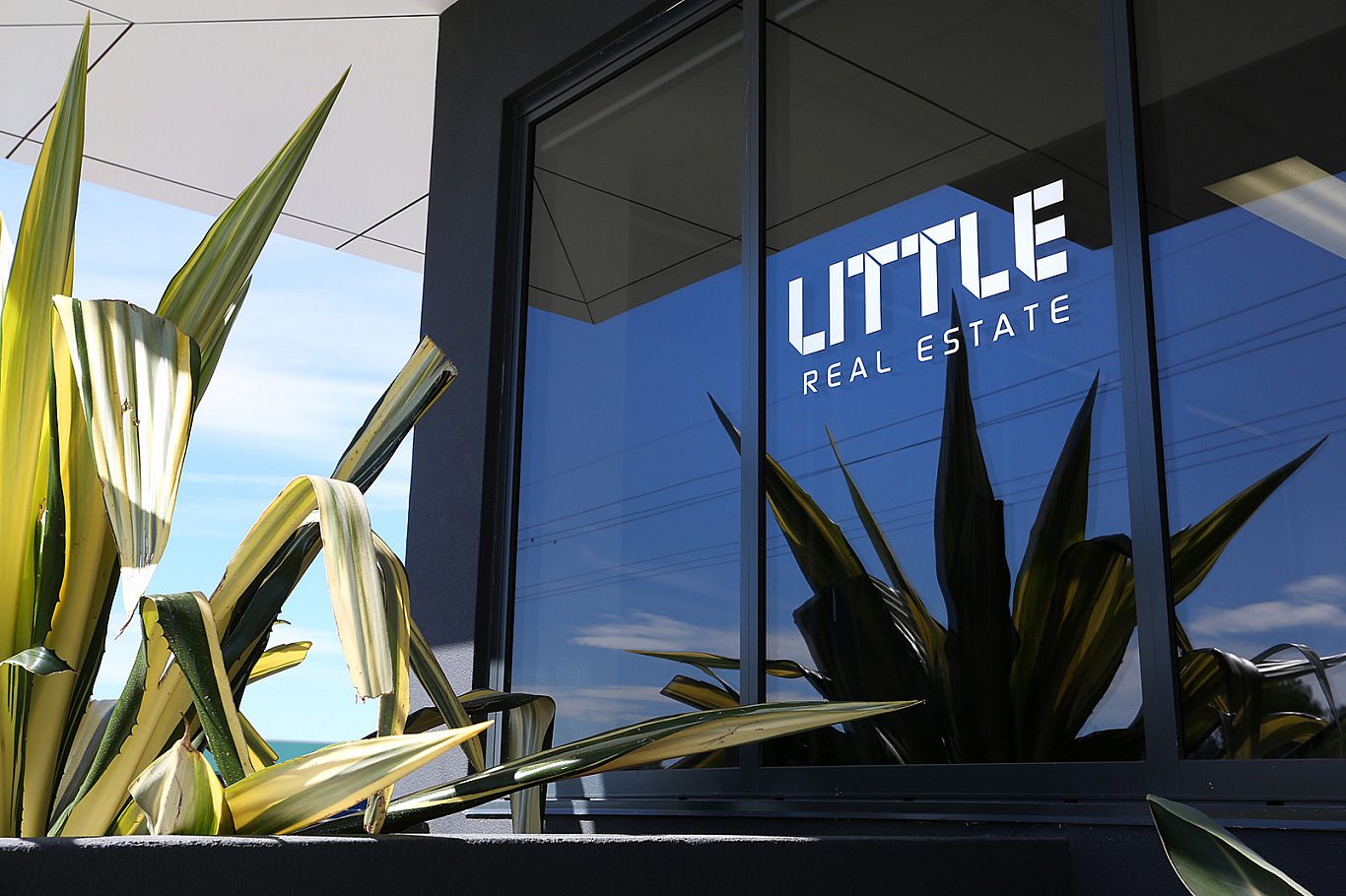 Little Real Estate | About Us
